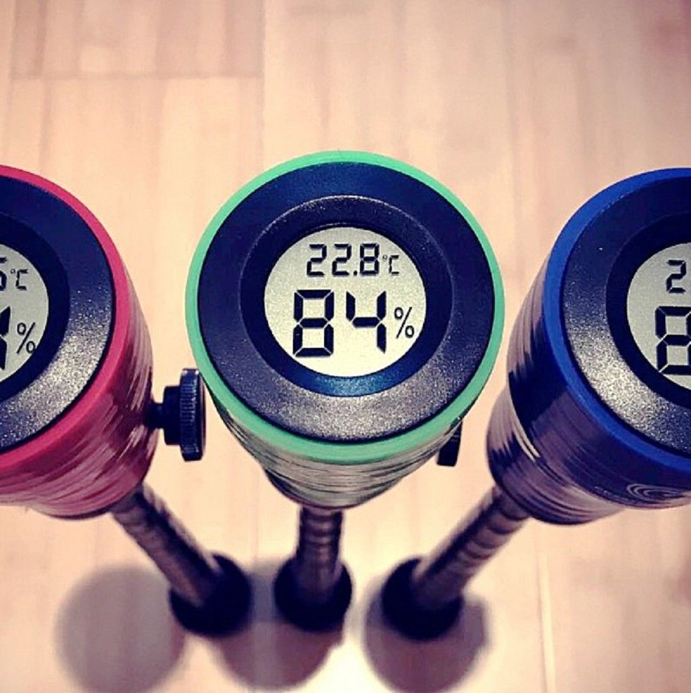 Tone Protector Bagpipe Reed Protector bleu | Kilts & More